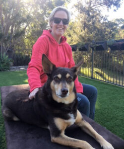 Animal Osteopathy Worldwide – Ignite your career