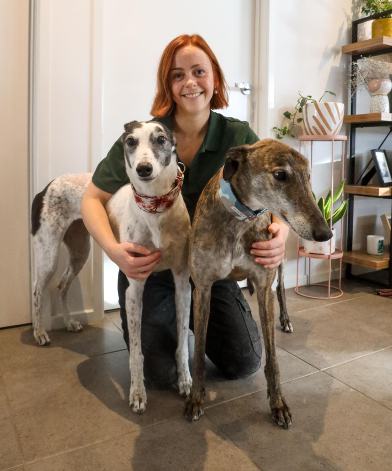 Homepage - Animal Osteopathy Worldwide