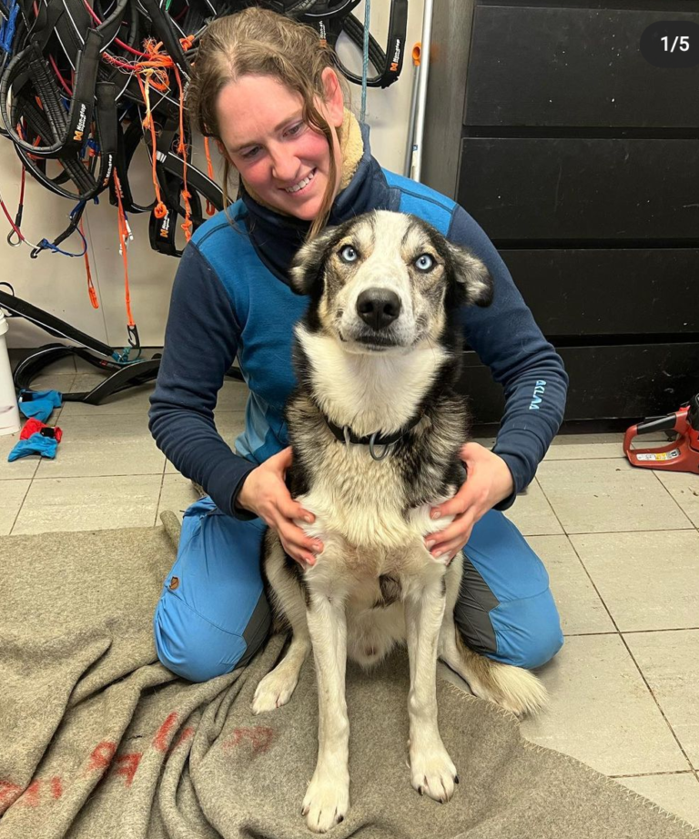 Homepage - Animal Osteopathy Worldwide