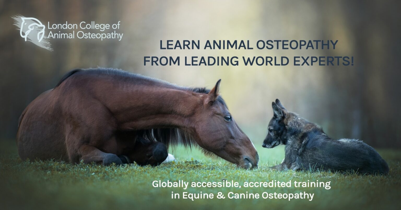 What is Animal Osteopathy? - Animal Osteopathy Worldwide
