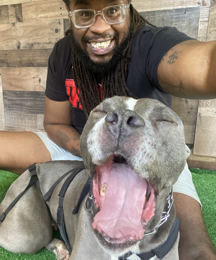 Willie Blue - Animal Osteopathy Worldwide