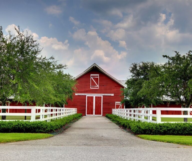 Promoting Horse Barn Safety - Animal Osteopathy Worldwide