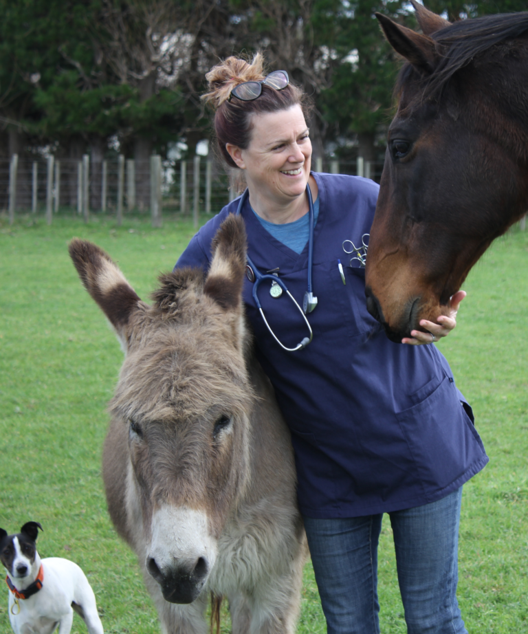 Homepage - Animal Osteopathy Worldwide