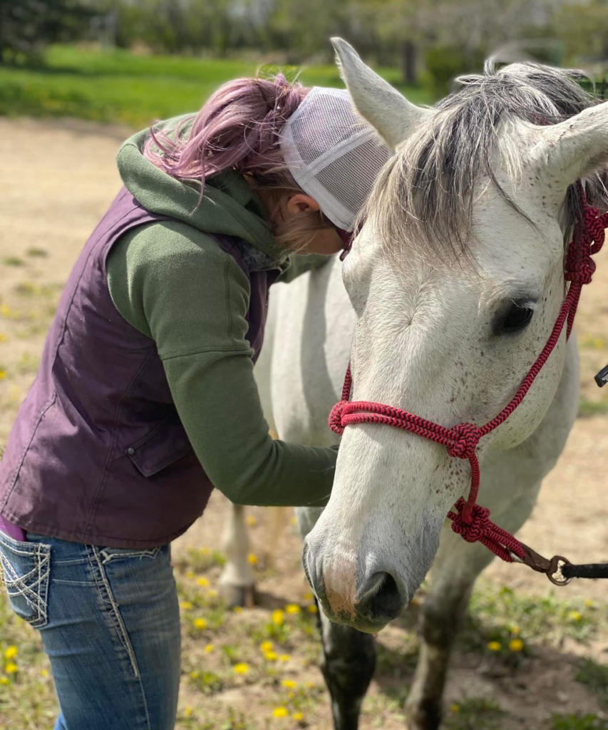 Homepage - Animal Osteopathy Worldwide